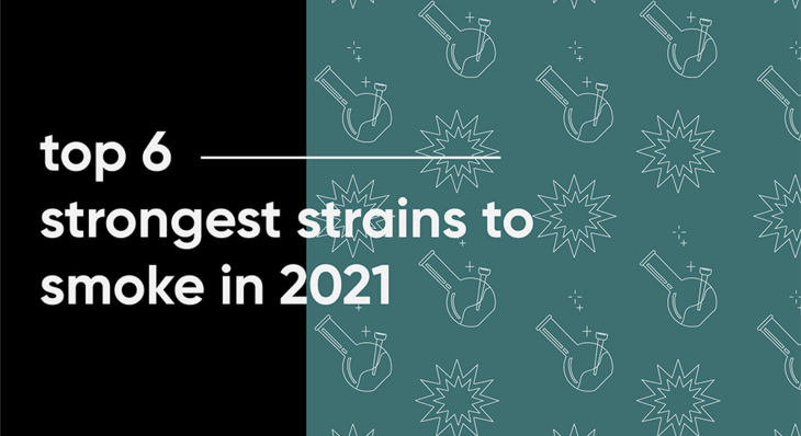 Top 6 Strongest Strains to Smoke in 2021 | Strains & Products - Where's ...