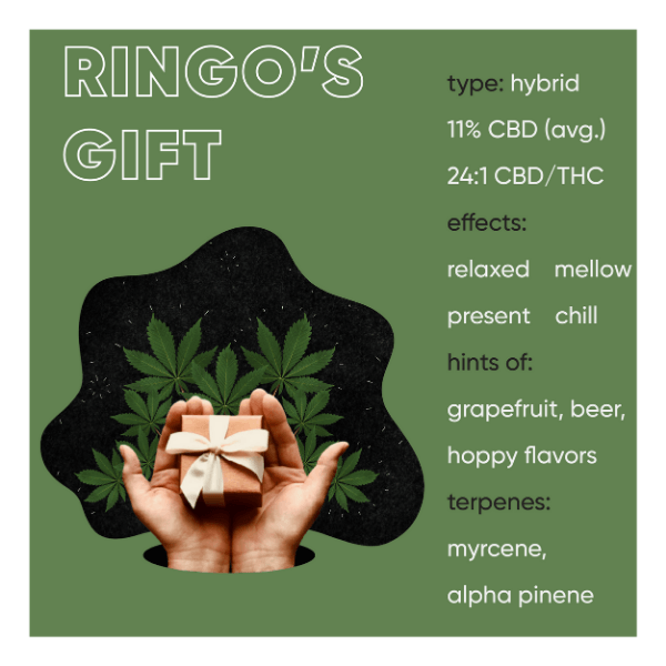 5 Low-THC Strains You Should Try | Strains & Products - Where's Weed Blog