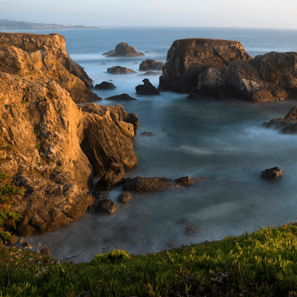 OG Kush: What Does "OG" Mean in the World of Cannabis | Strains ...