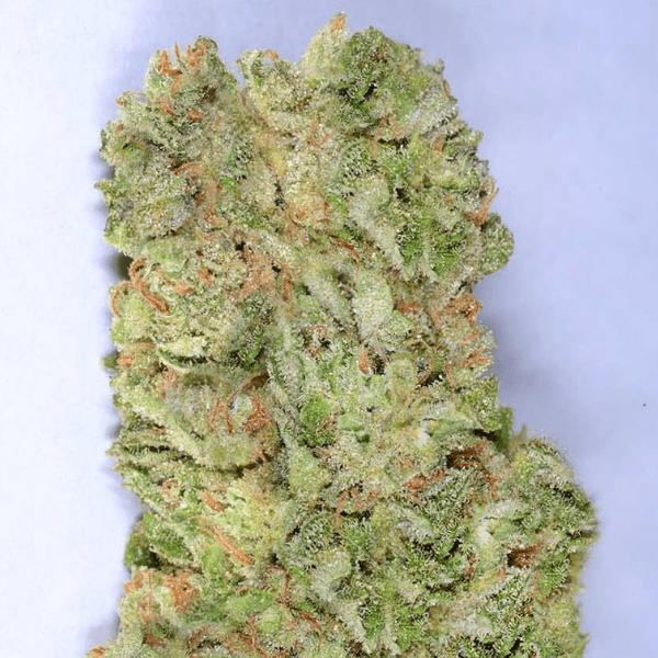 Top 6 Cannabis Strains to Smoke this Fall | Strains & Products - Where ...