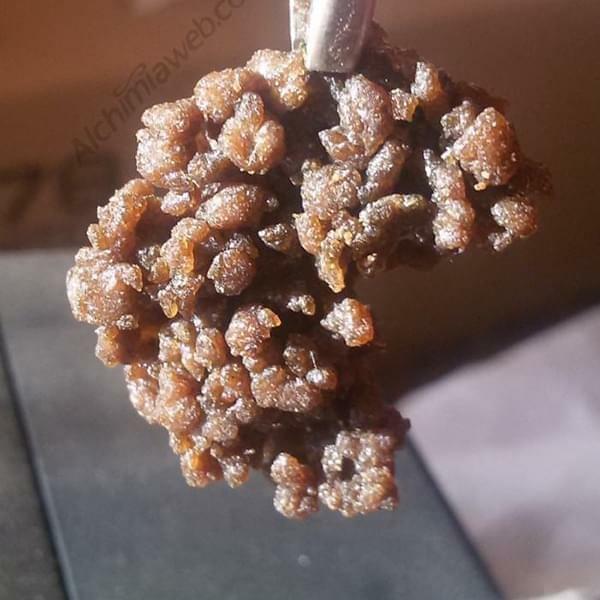 What is Fresh Frozen Marijuana? | Growing - Where's Weed Blog