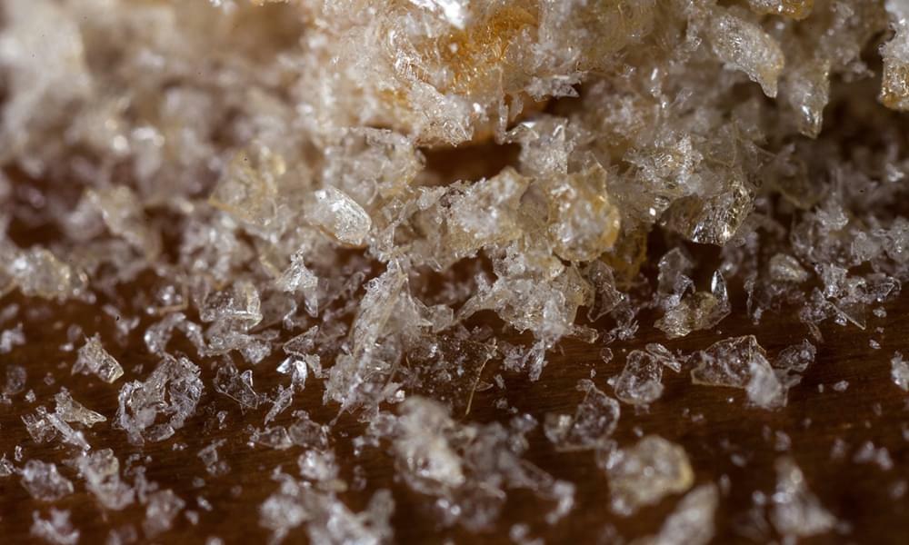 THC Diamonds: What Are These Potent Cannabis Concentrates ...