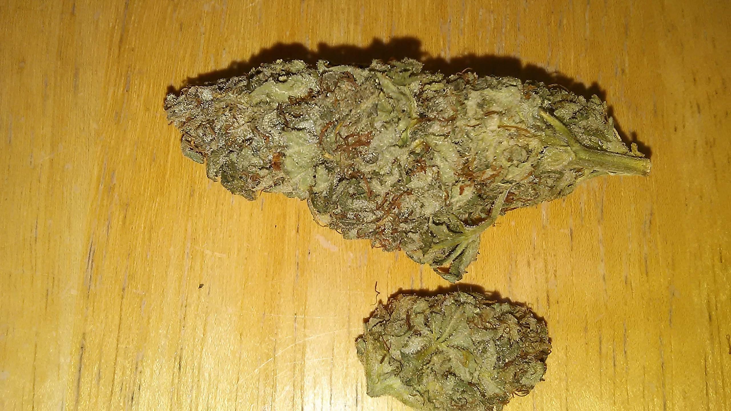 Querkle Strain Information & Reviews | Where's Weed