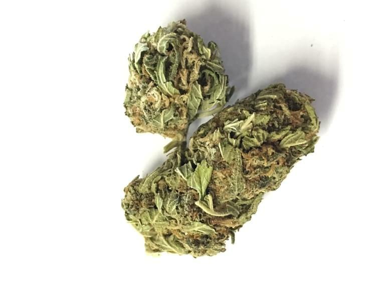 God's Gift Strain Information & Reviews | Where's Weed