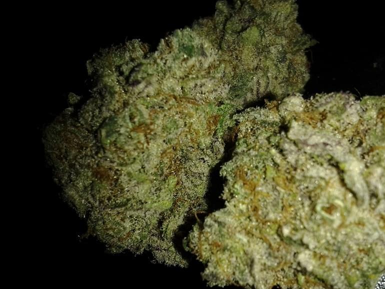 Blackberry Strain Information & Reviews | Where's Weed