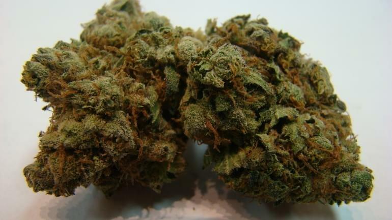 Xxx Og Strain Information & Reviews | Where's Weed