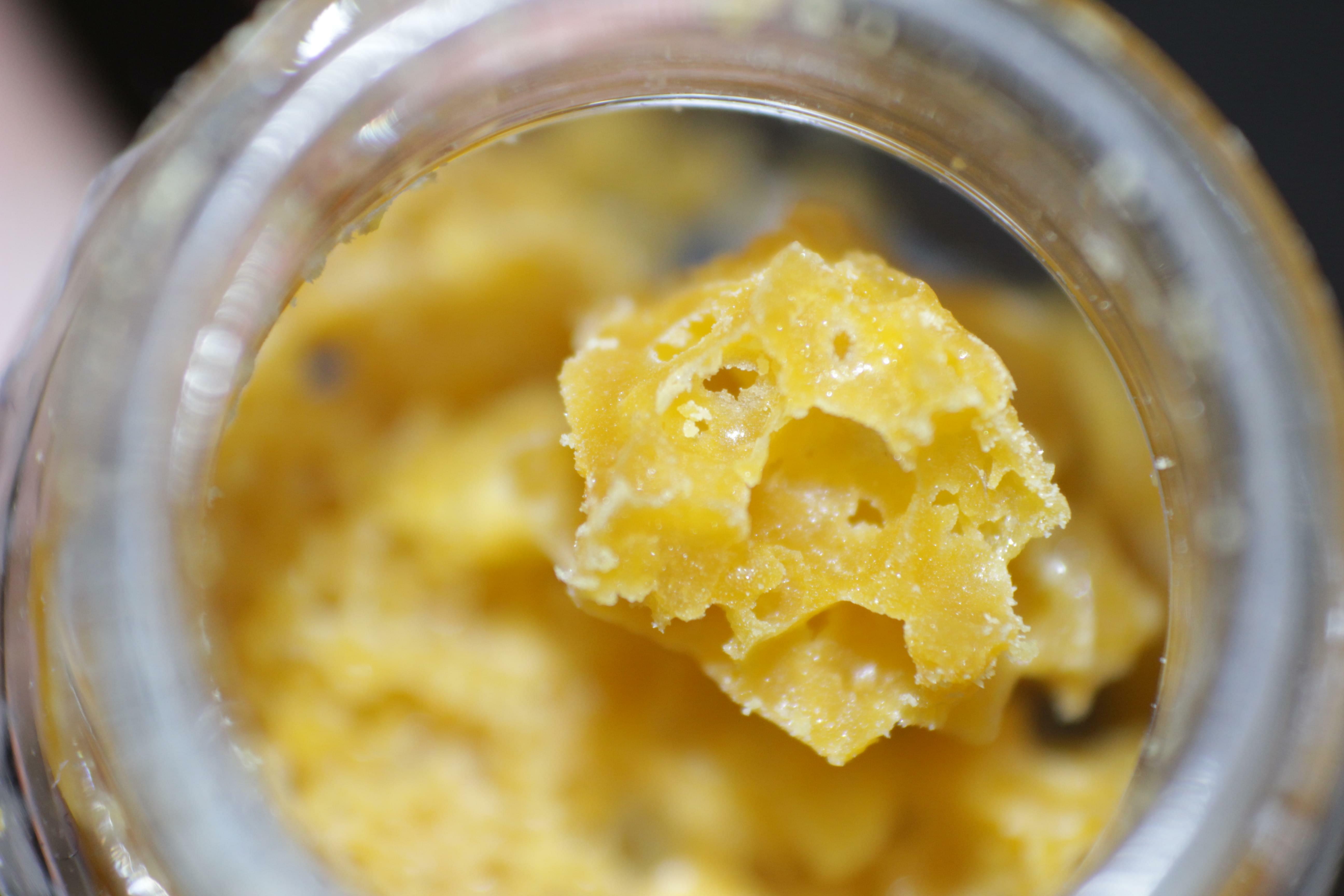 Cherry Ak-47 Strain Information & Reviews | Where's Weed