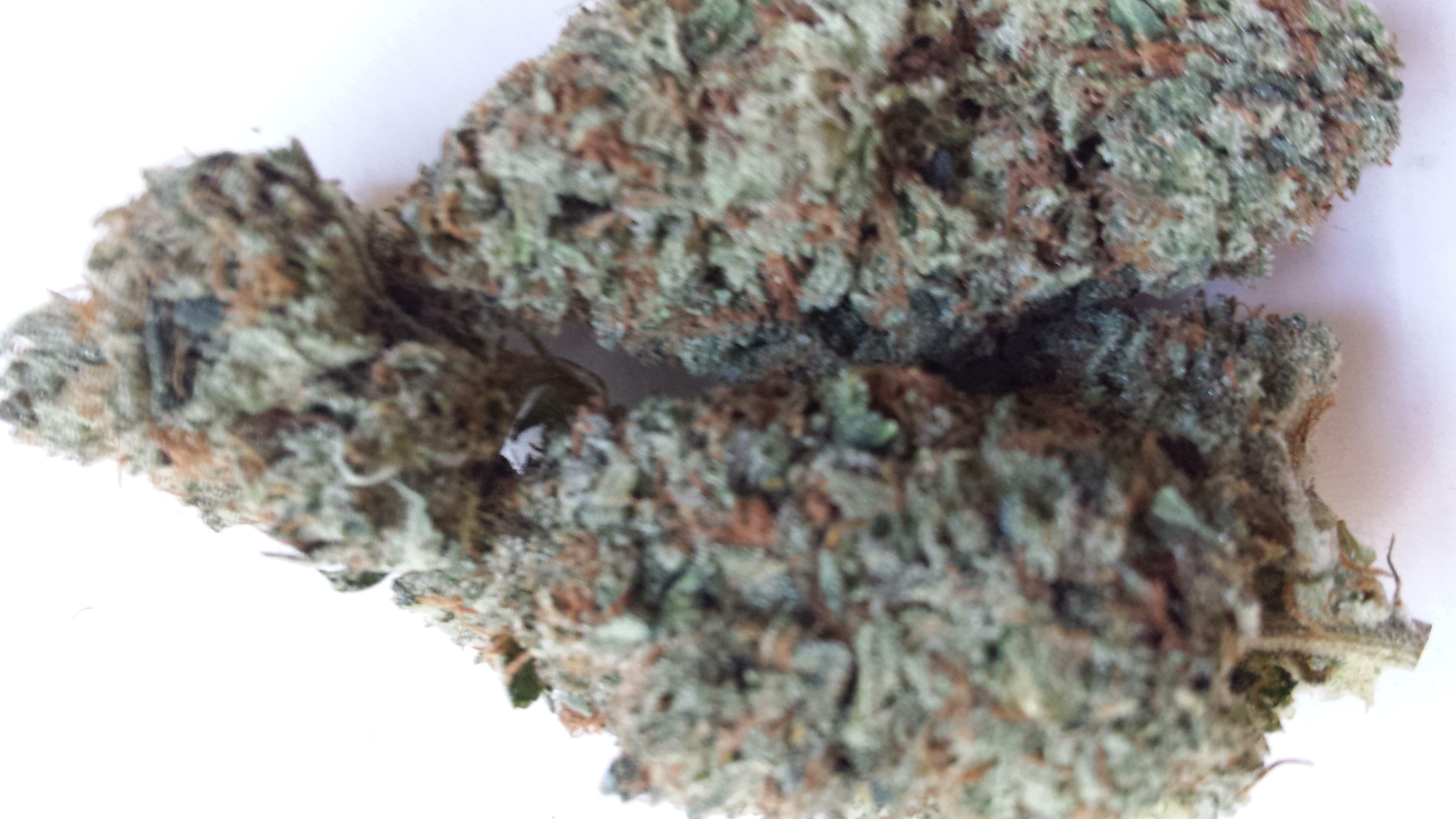 Pure Kush Strain Information & Reviews | Where's Weed